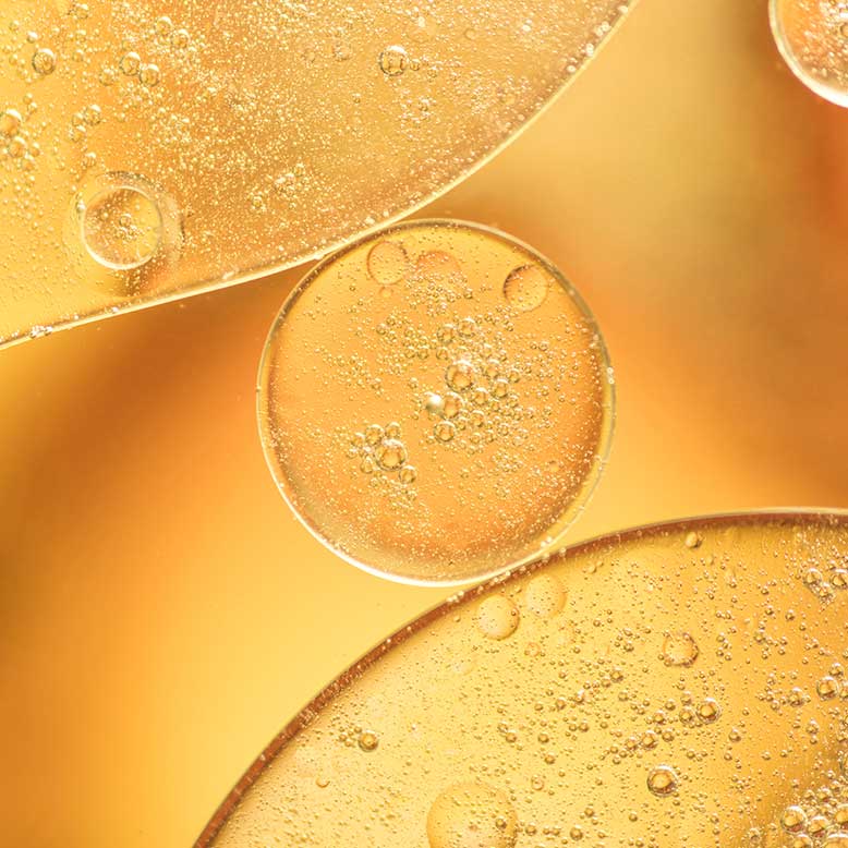 Mengenal Galactomyces Ferment Filtrate: Pengertian, Kandungan, dan ...